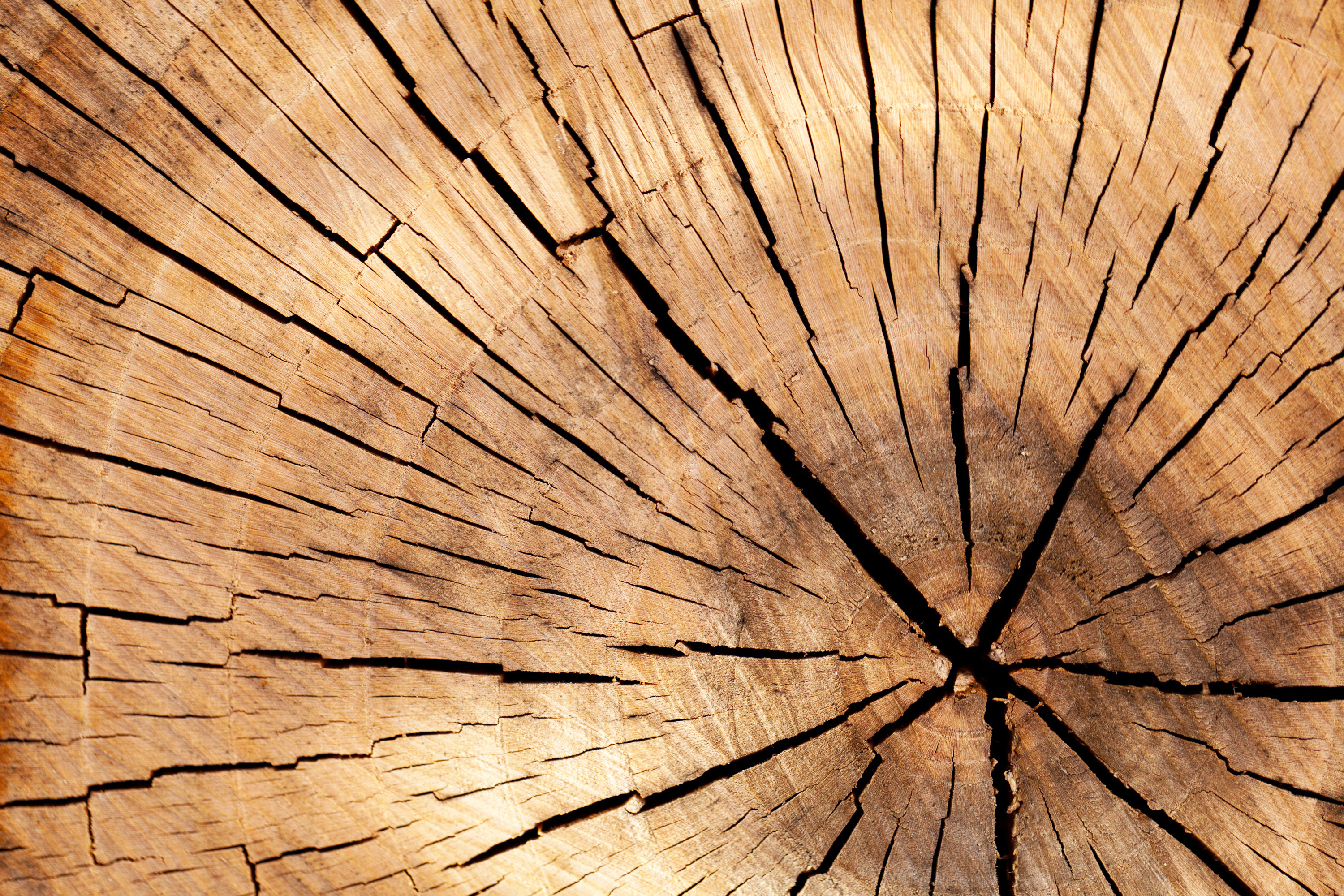 BBFD Investment - BBFD